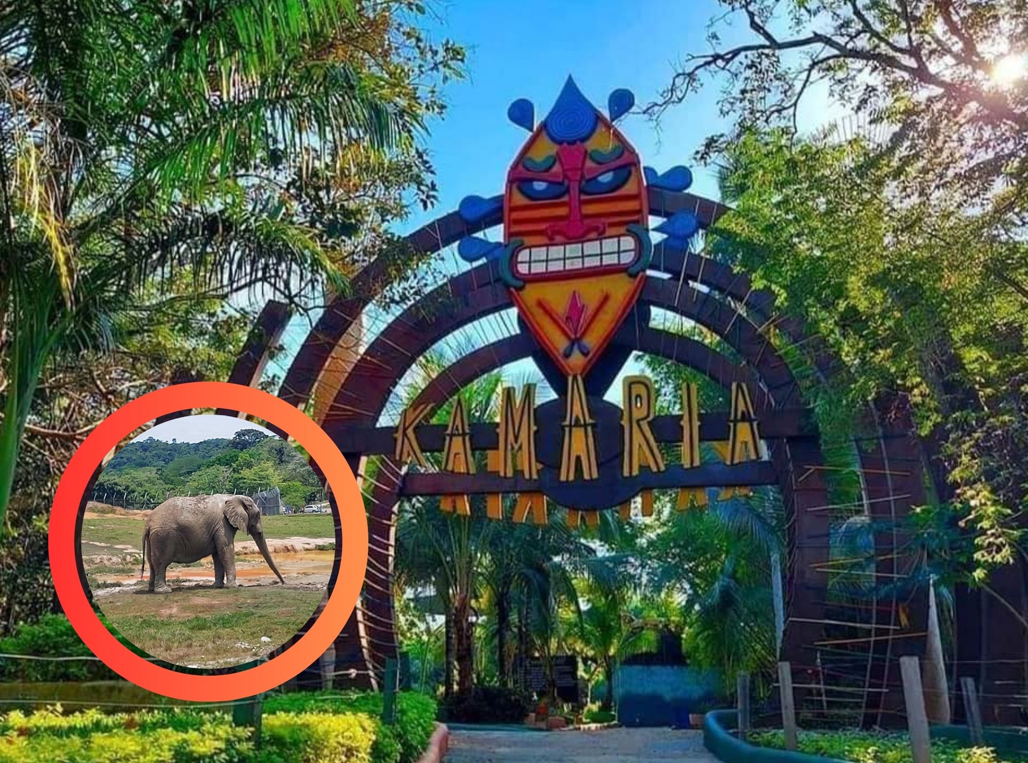 Hacienda Nápoles: Descubre su historia y atracciones