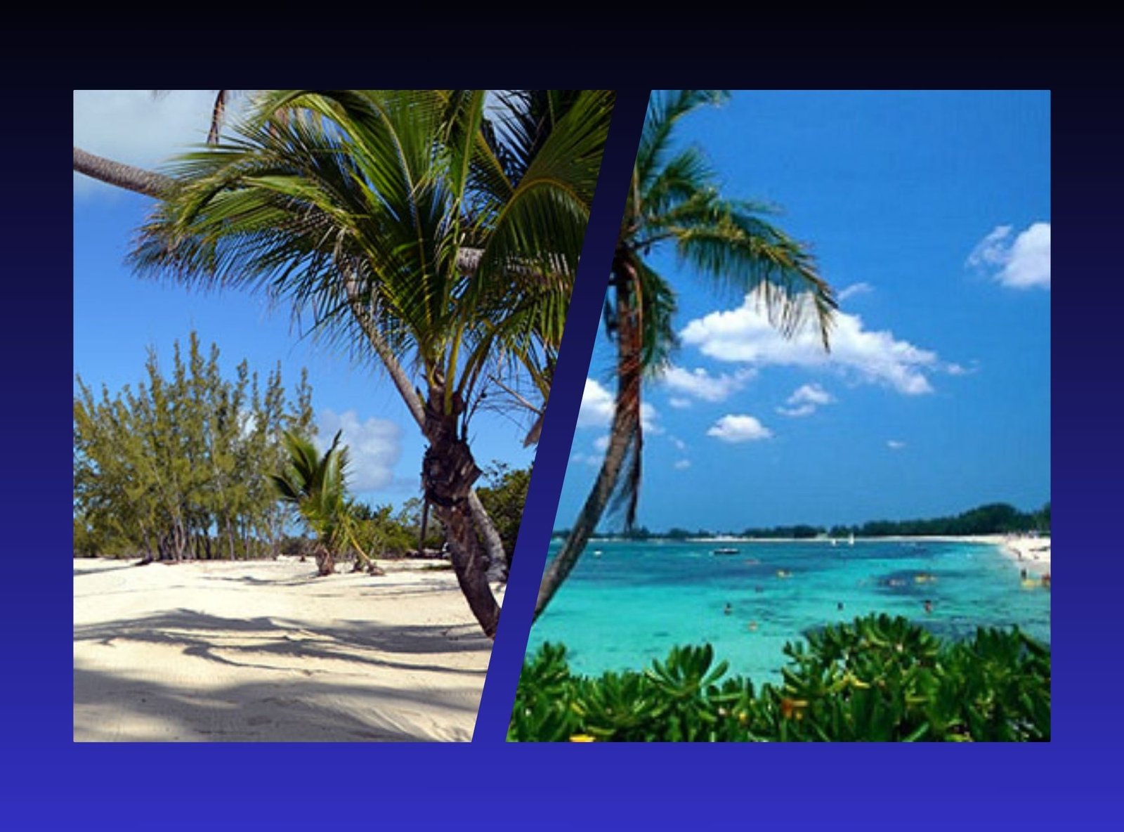 Lo Mejor de las Bahamas